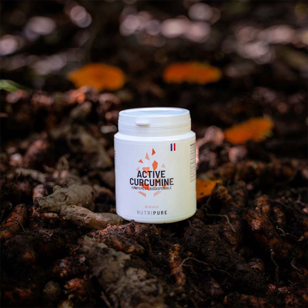 Les bienfaits du curcuma : propriétés, vertus et utilisation